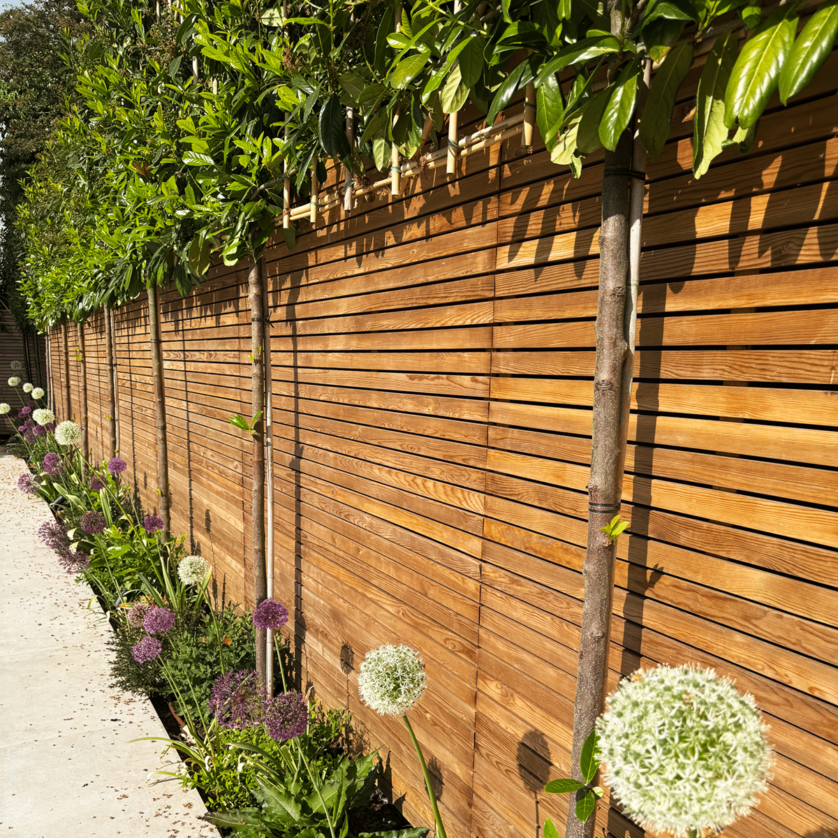 Contemporary Fences